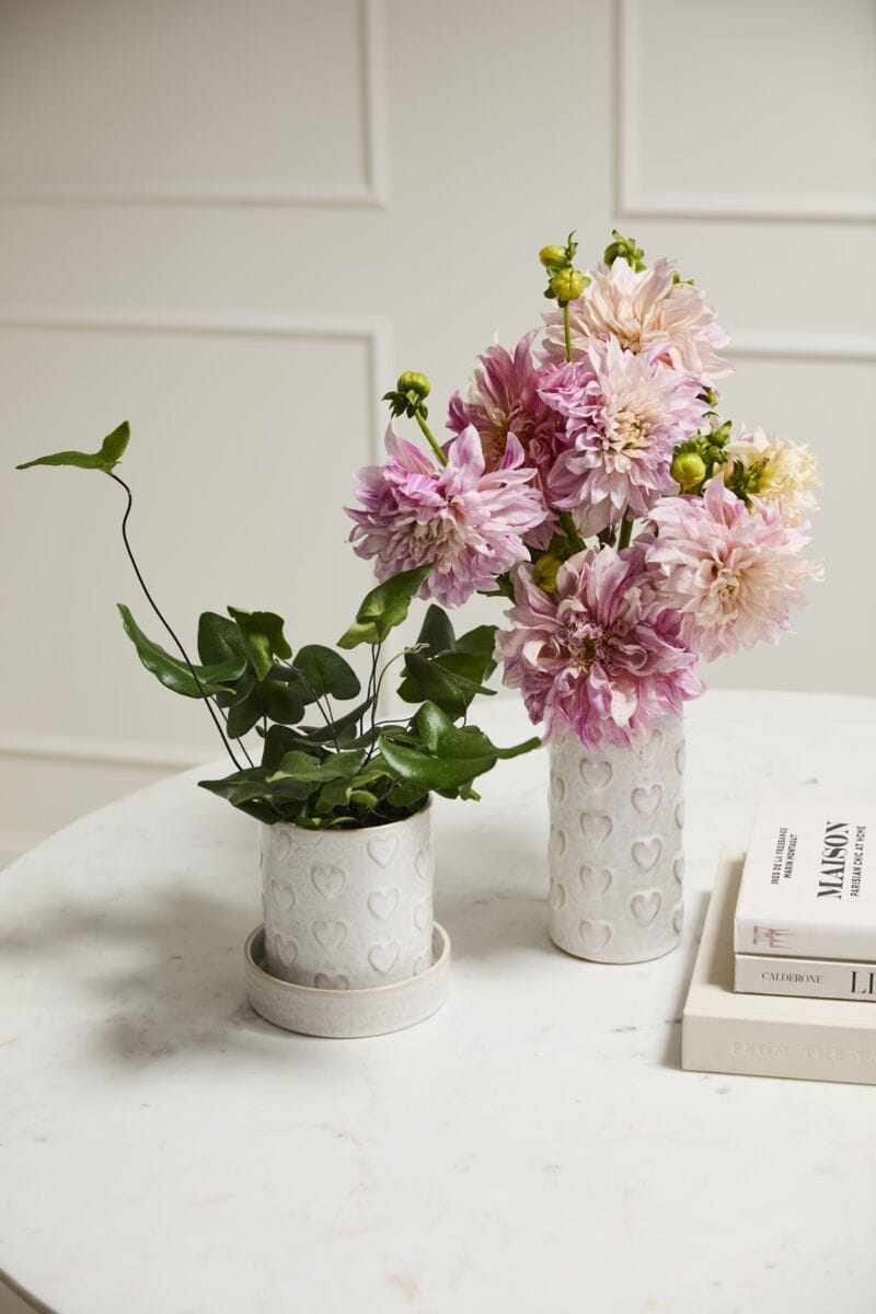 Heartfelt Pot with Saucer - DAMAGED POS ONLY – Paper Luxe