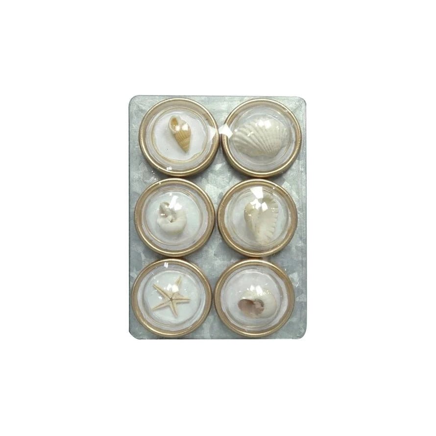 Resin Convex Magnets on Metal Card with Shells, Set of 6 – Paper Luxe